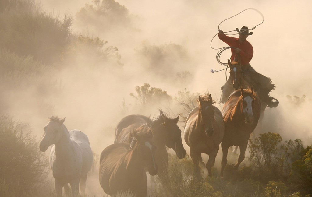 Do You Have the Courage to REGAIN Donors? - Development and Leadership ...