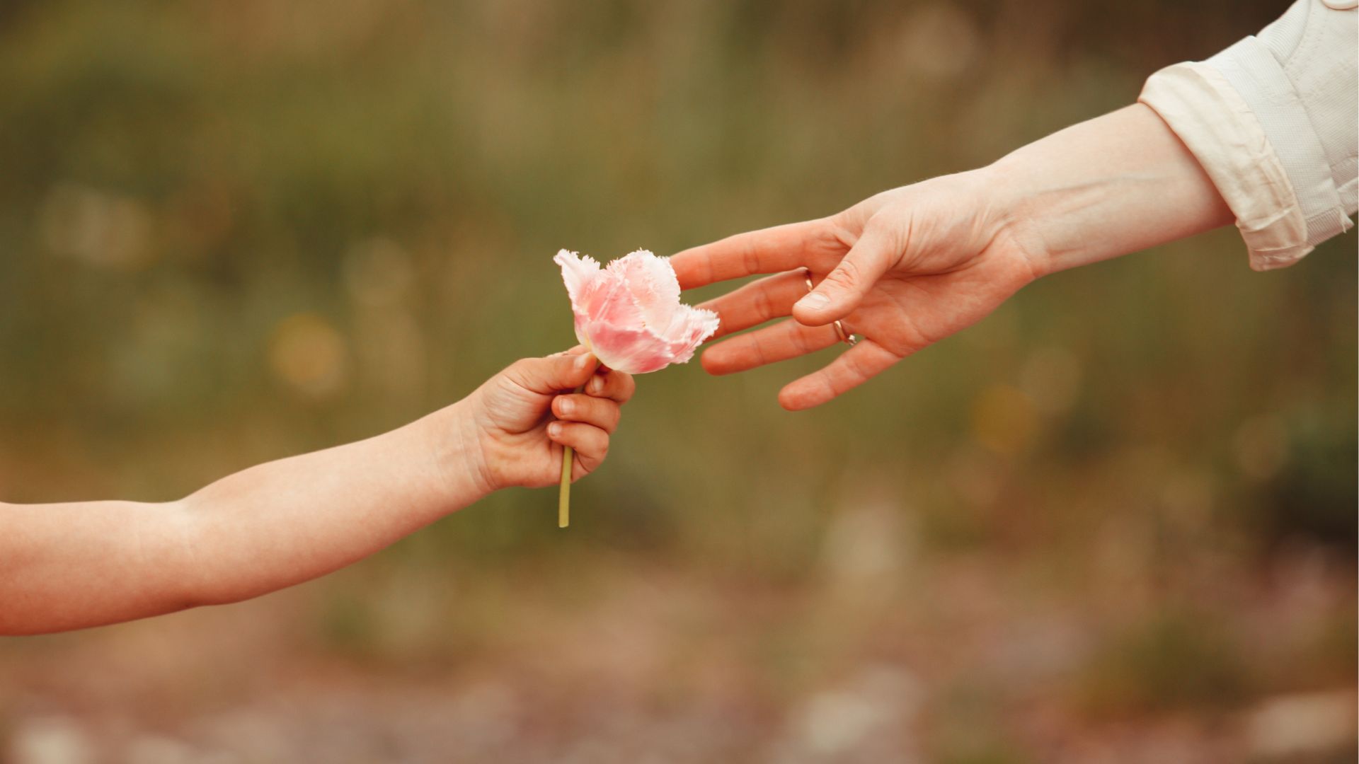 Reflections on Mom - Development and Leadership Coaching