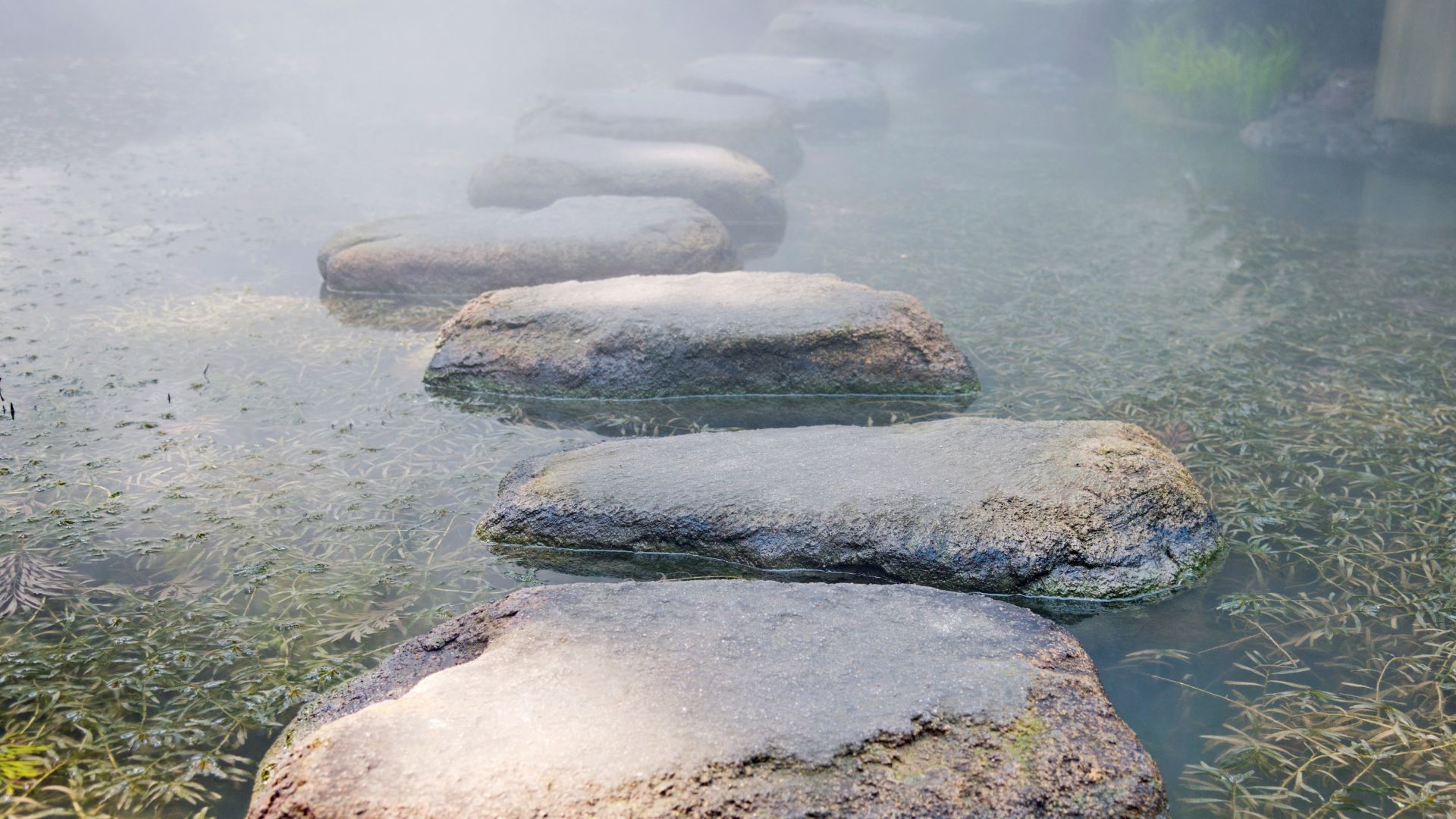 Stepping Stones | Turning Plans into Action–Part I - Development and ...